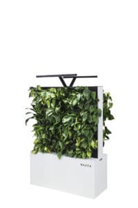 Naava Flow Duo - Welltek