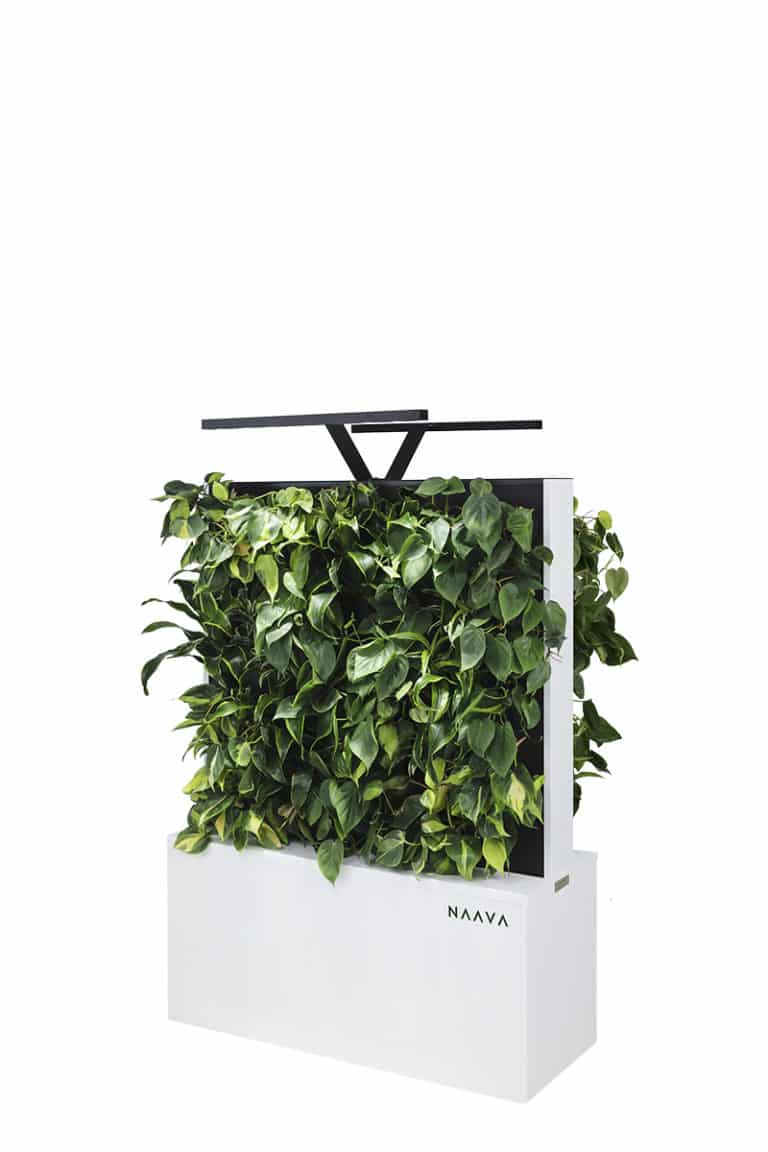 Naava Flow Duo - Welltek