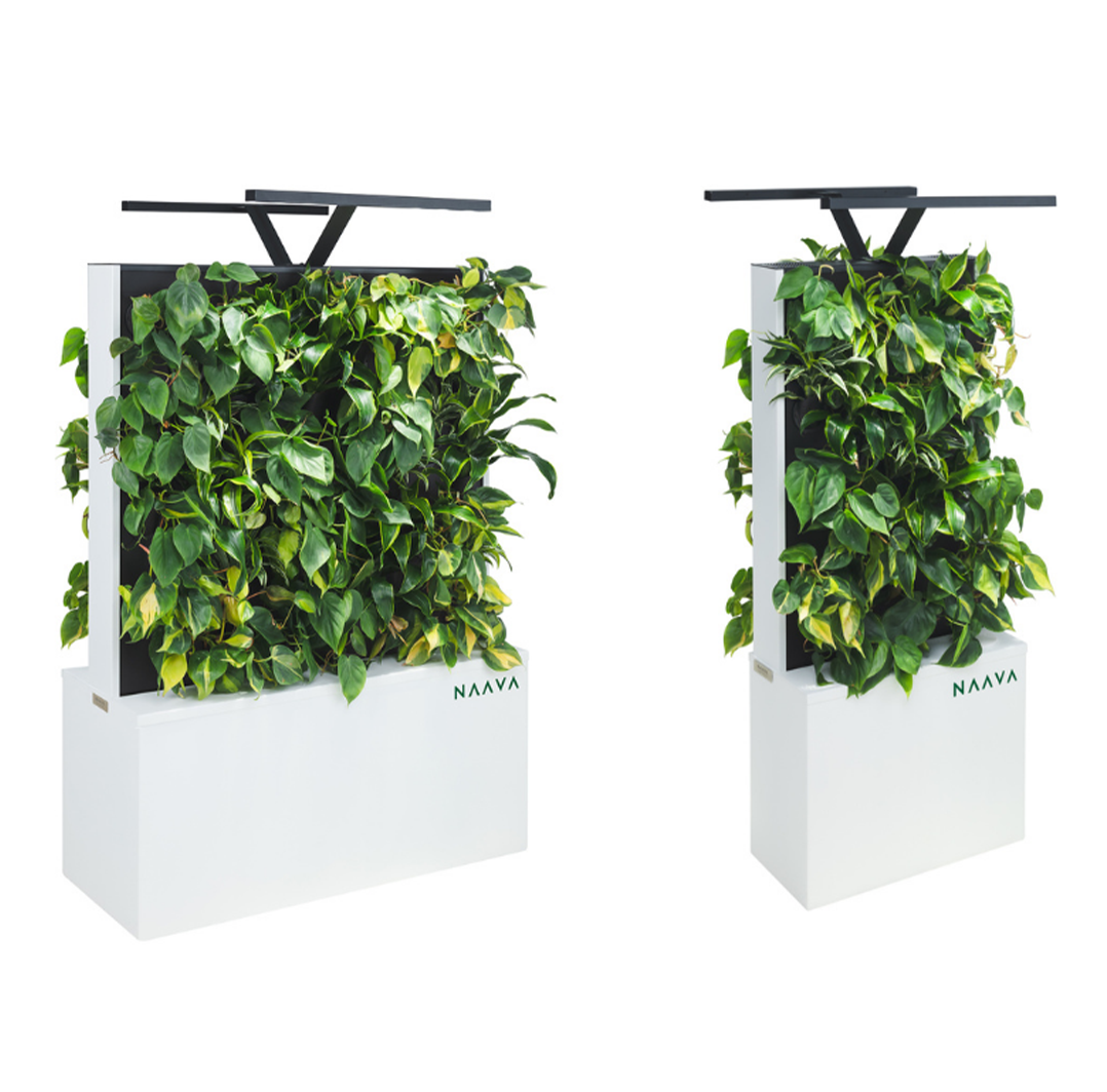 Naava Flow Duo - Welltek