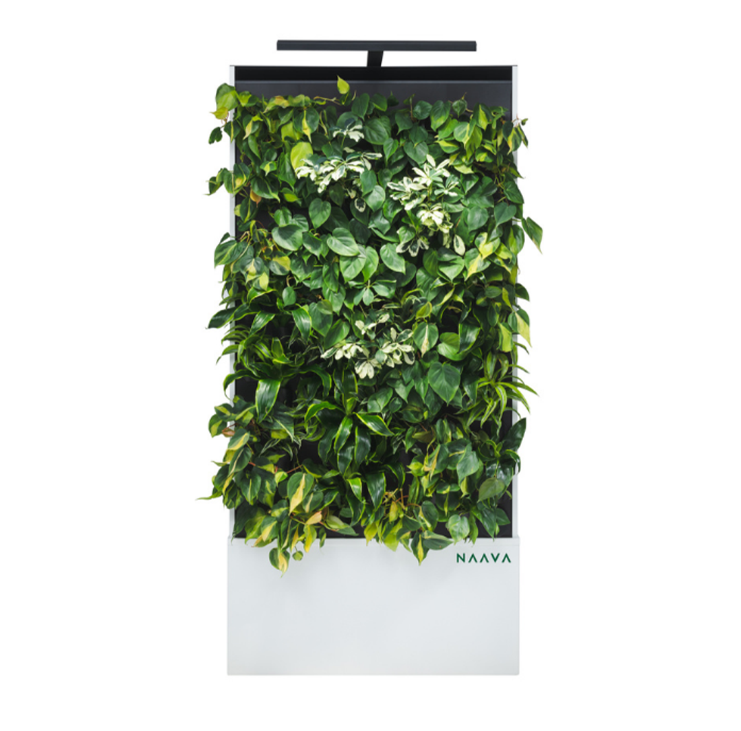 Naava One Slim - Welltek