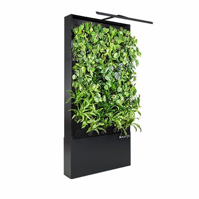 Naava One Slim – Welltek